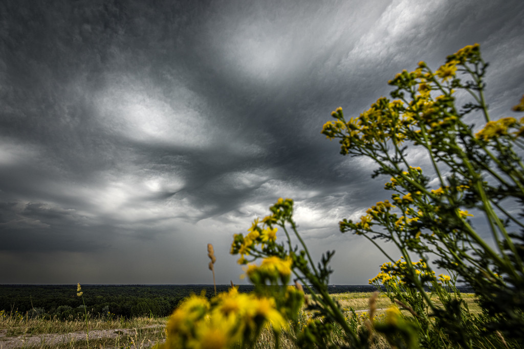 KNMI: code geel voor Noord-Holland, Friesland en Flevoland om wateroverlast