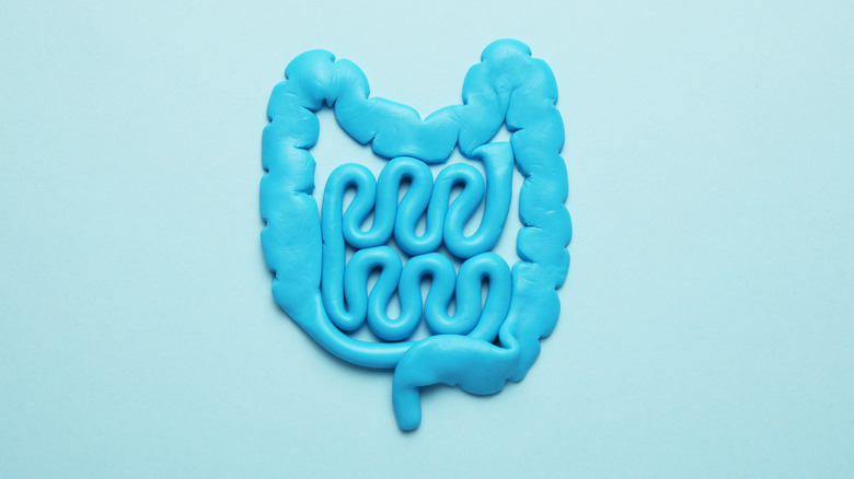 When You Stop Eating Meat, This Is What Happens To Your Body