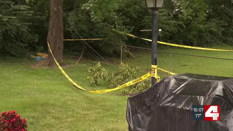 Live wires removed from homeowner’s yard hours after First Alert 4 inquiry