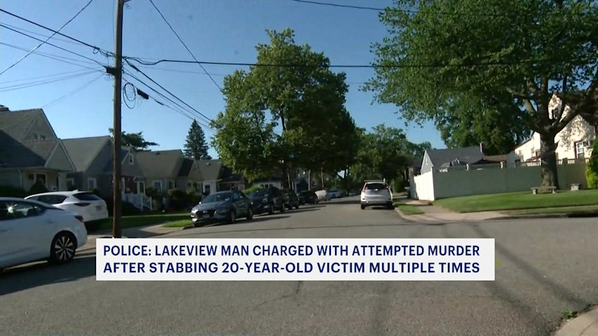 Police: Lakeview man charged with attempted murder in stabbing of 20 ...