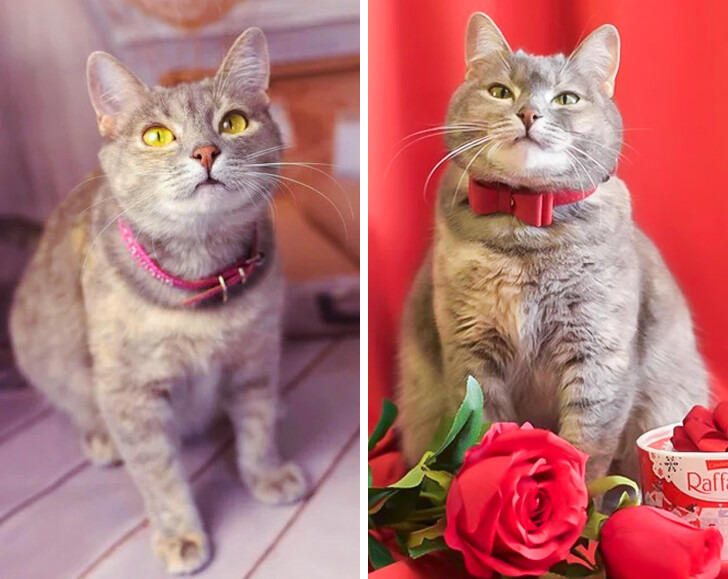 17 Striking Before-and-After Photos That Speak Volumes