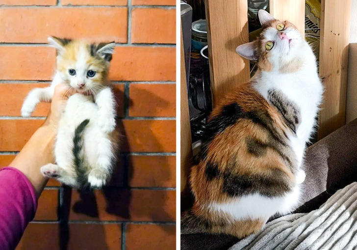 17 Striking Before-and-After Photos That Speak Volumes