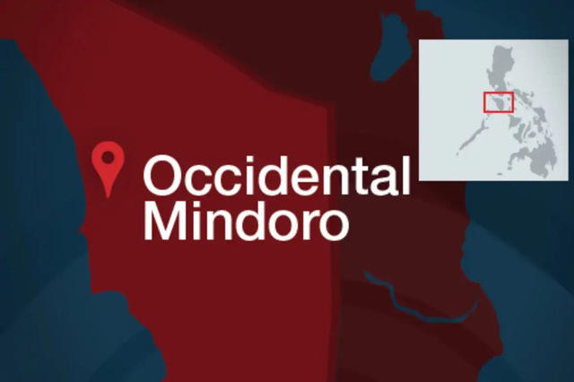 US energy firm eyed to build natural gas plant in Occiental Mindoro to ...