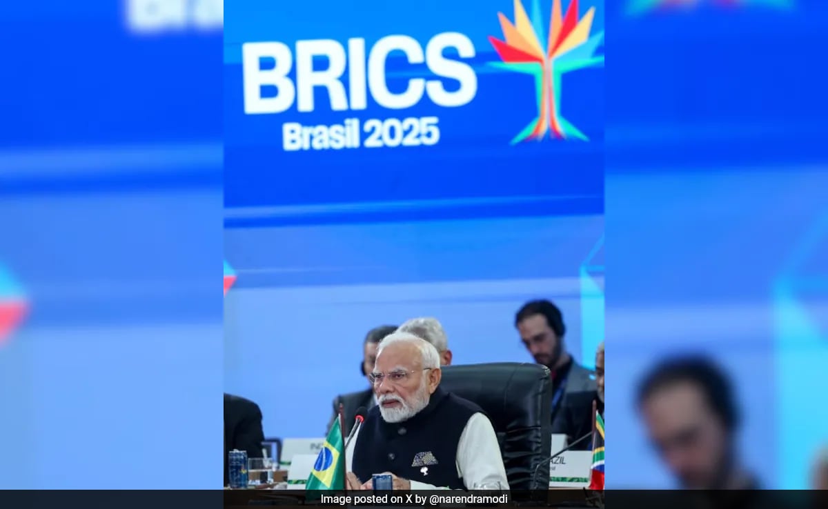 At BRICS, PM Modi Calls For "Working Together For Responsible AI"