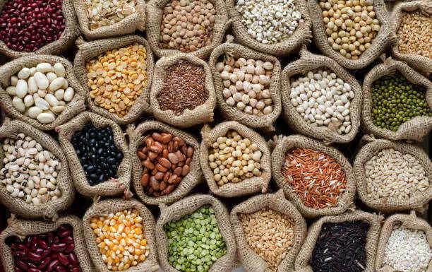 From Kuttu to Jawar: Indian grains and their english names