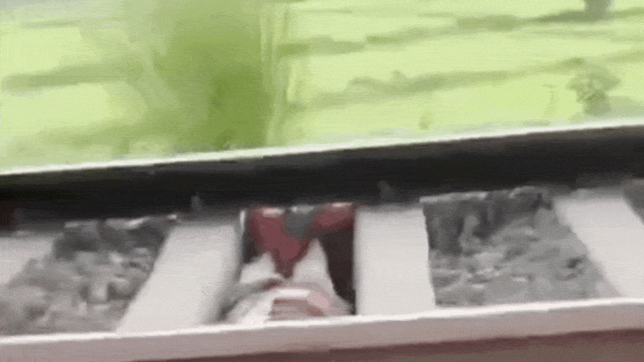 Deadly stunt for reel: 12-year-old lies on track under passing train in ...