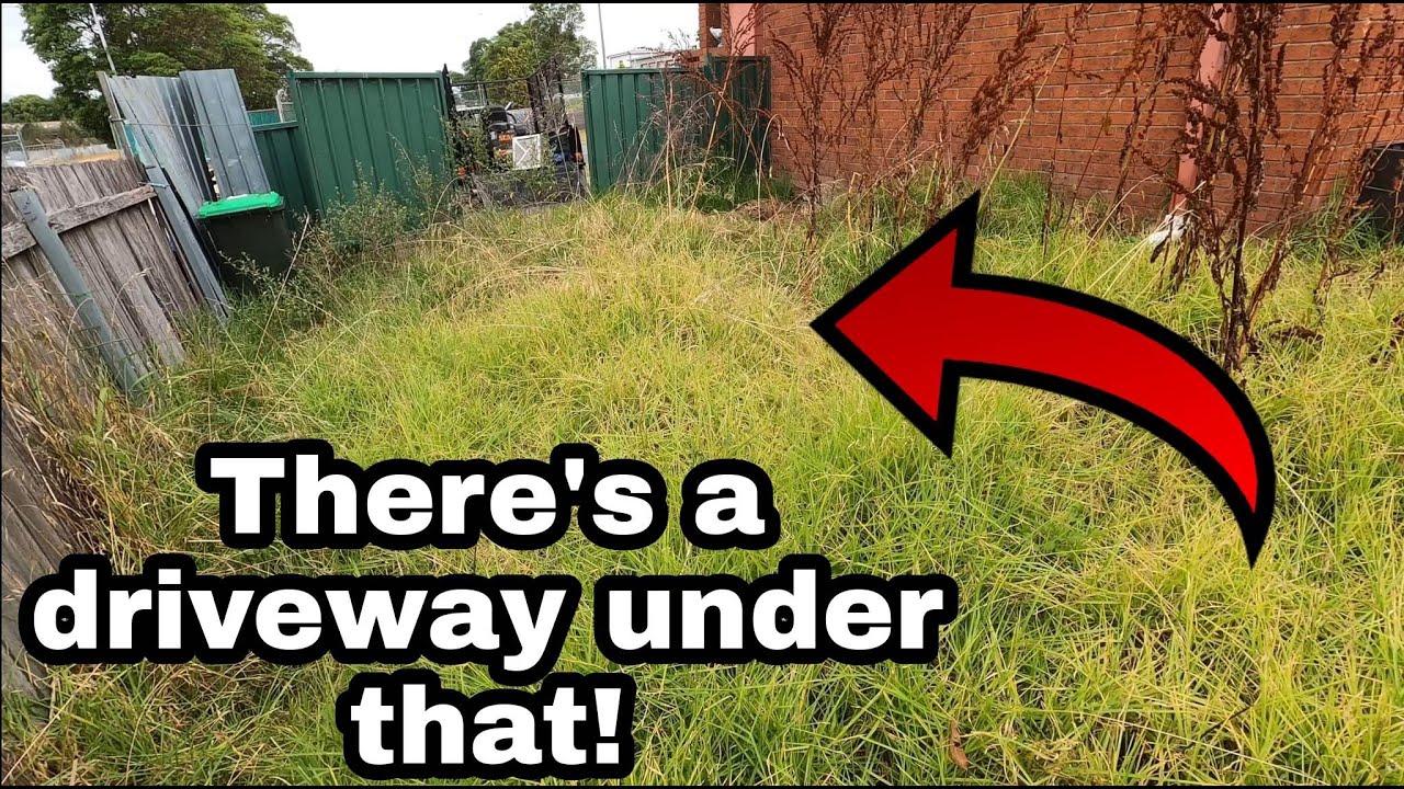 Uncovering Her Hidden Driveway: Tall Grass Takeover