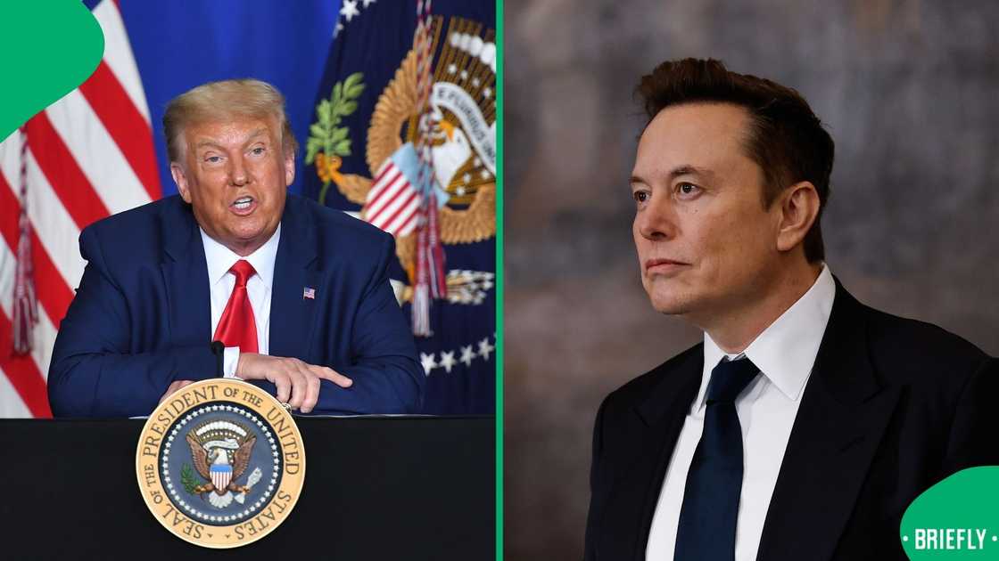 Donald Trump slams Elon Musk’s new political party, divides social ...