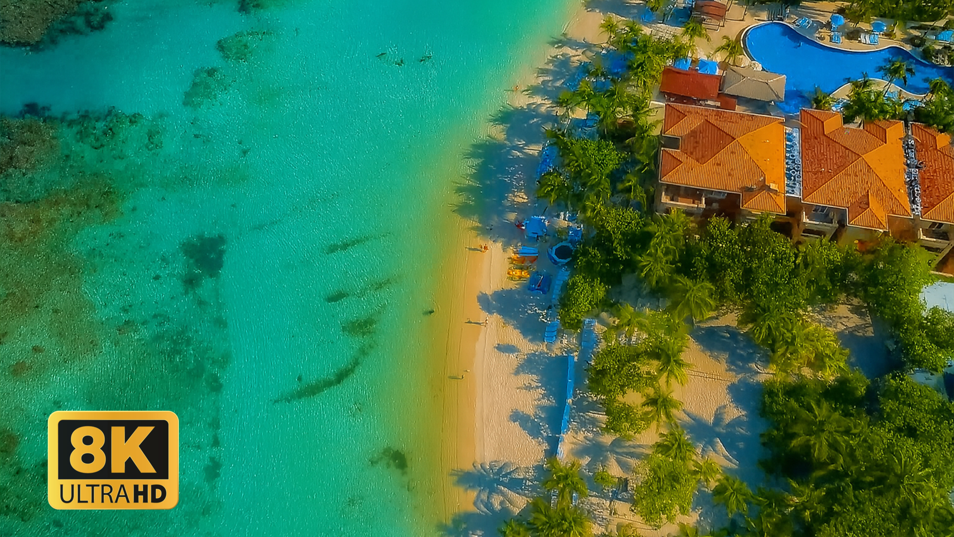 High-Performance 12K HDR at 240FPS – Dolby Vision™ ULTRA HD Test for 8K ...