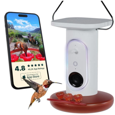 How to keep bees out of hummingbird feeders — 5 expert methods to help ...