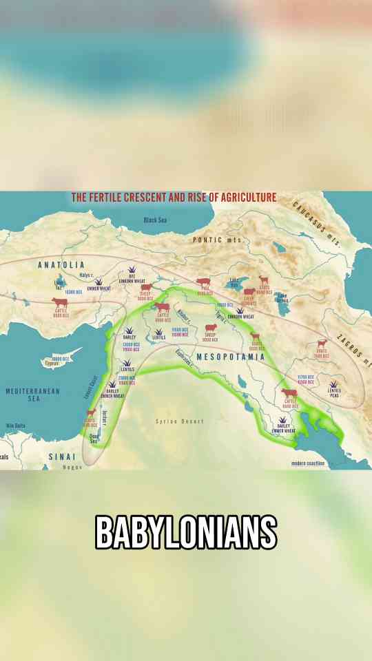 Bronze Age Civilizations - Rise of Empires & Trade