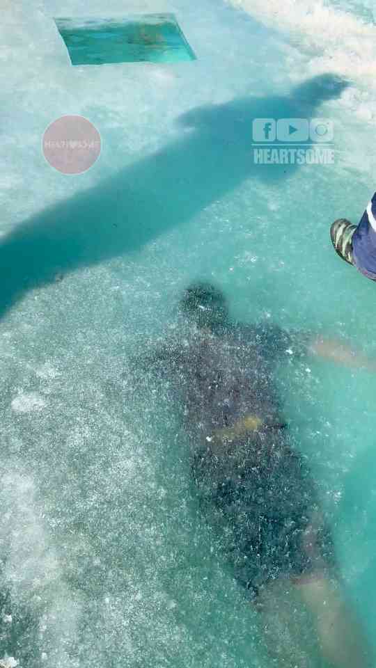 Russian Daredevil Swims in Freezing Cold Water Like It's No Big Deal