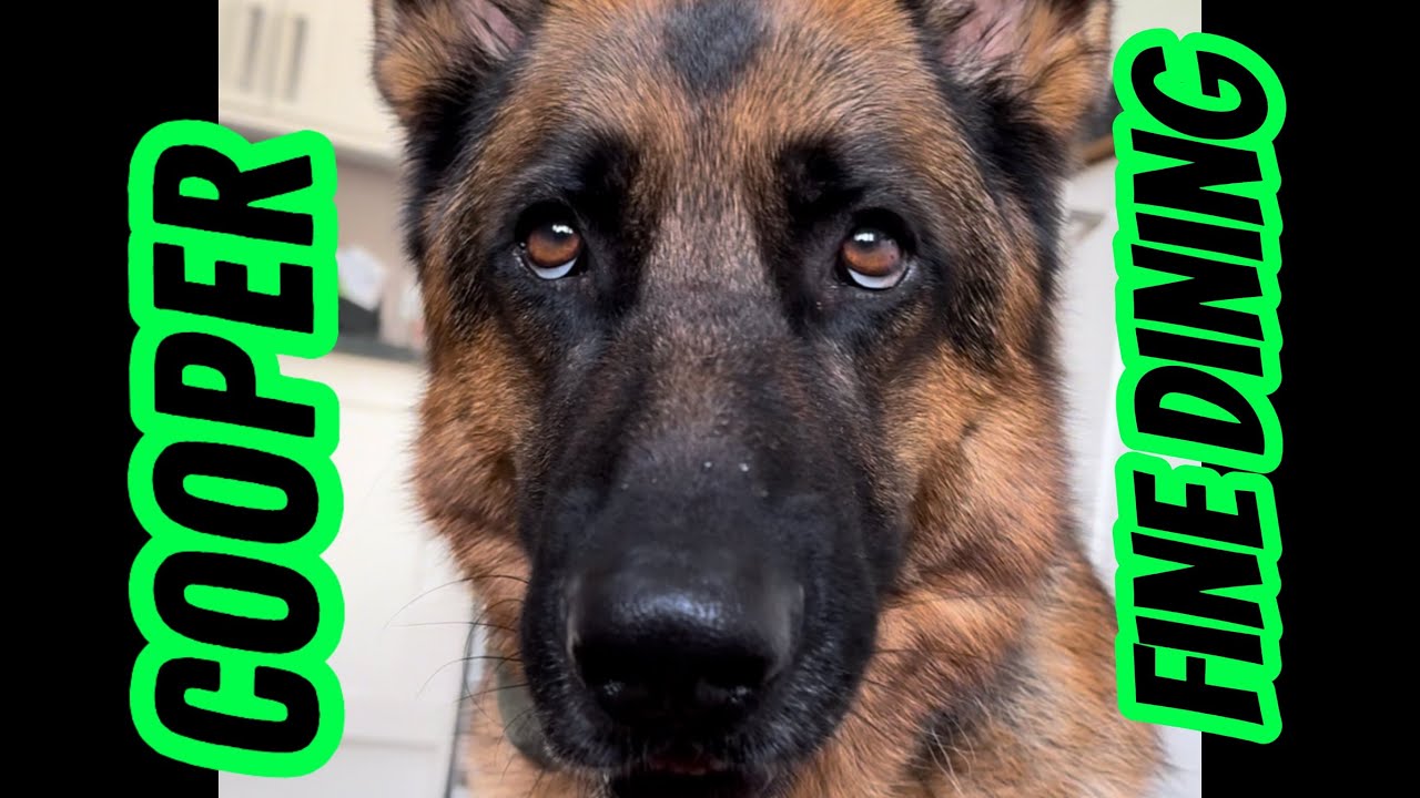 Cooper Reviews His Favorite Restaurant