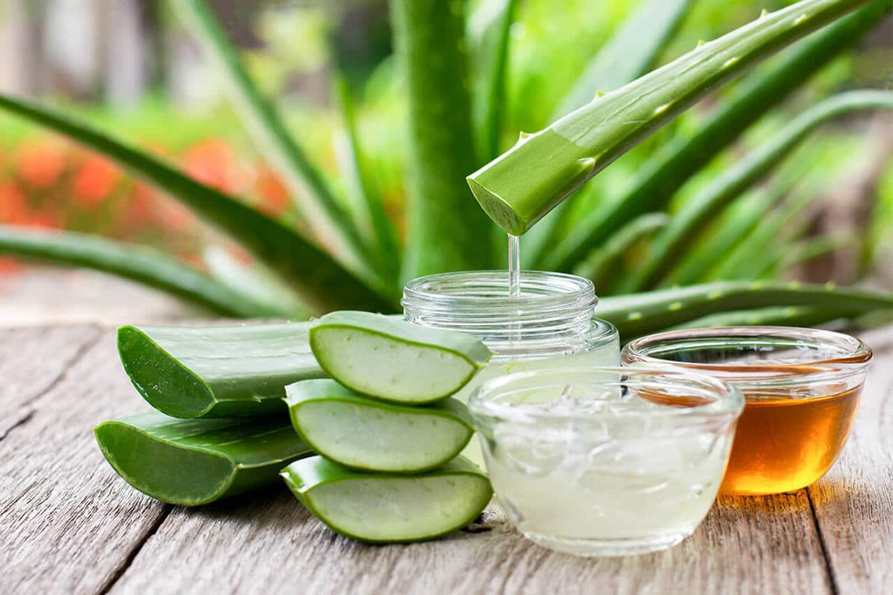 Curiosidades, propiedades y secretos del aloe vera: todo sobre la ...