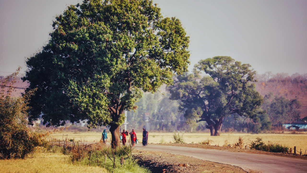 10 most famous Indian villages and the reason why they are globally ...