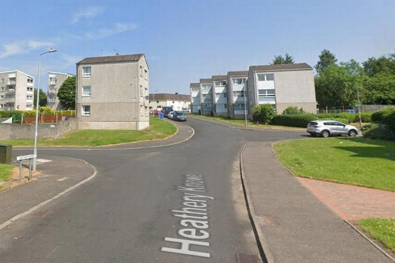 Hunt for 'vile' driver who mowed down 81-year-old woman in 'hit and run ...