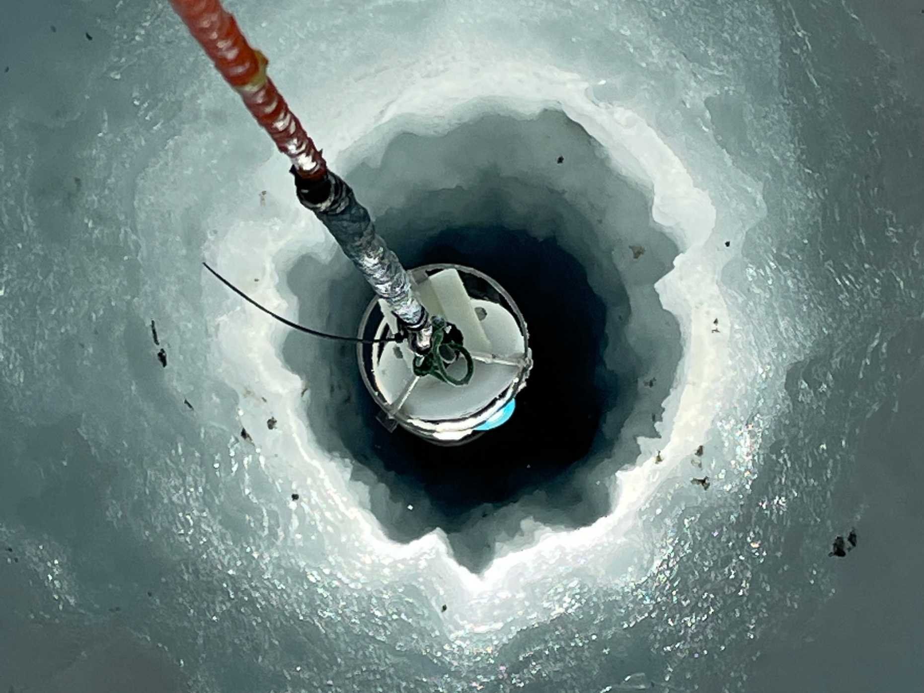 Phenomenal 'lobster-like creatures' discovered more than 1,500 feet ...