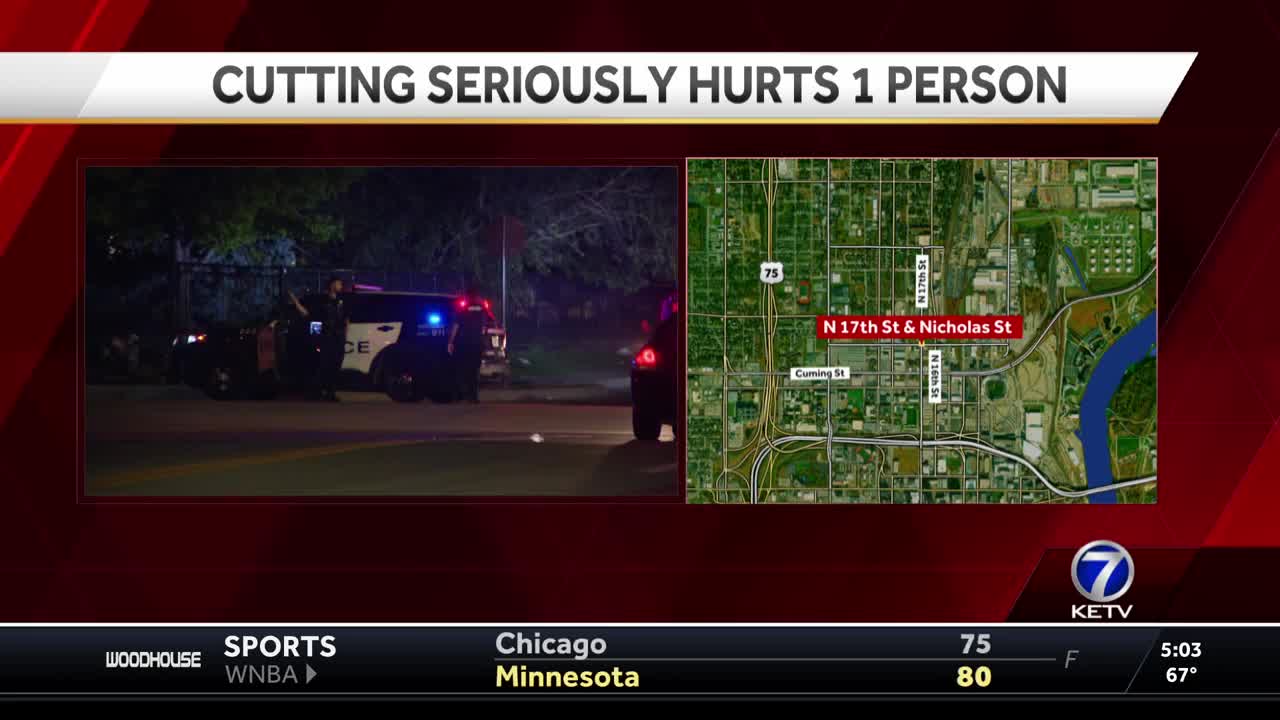 One person seriously hurt in cutting