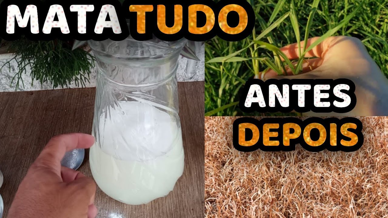 Mata-Mato Caseiro: 3 Receitas Incríveis (1 É 100% Grátis!)