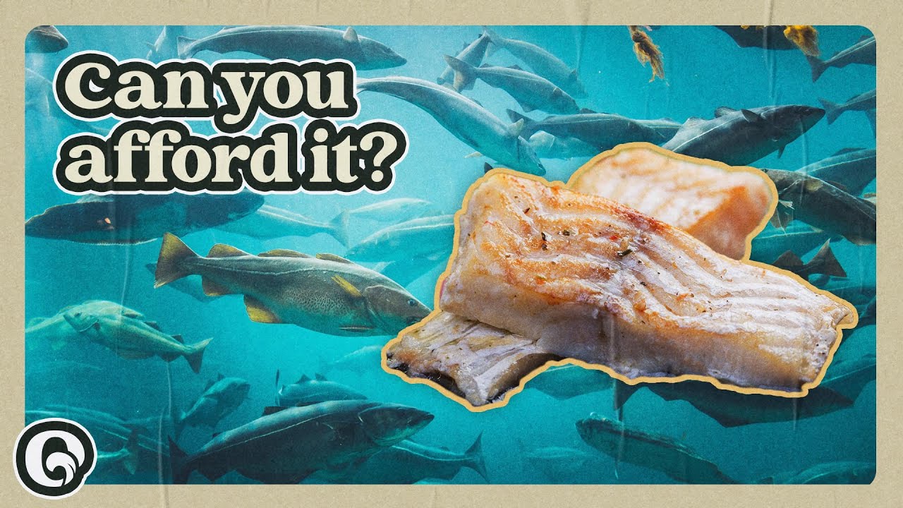 From Ocean to Market: What’s Driving Cod Costs Up?