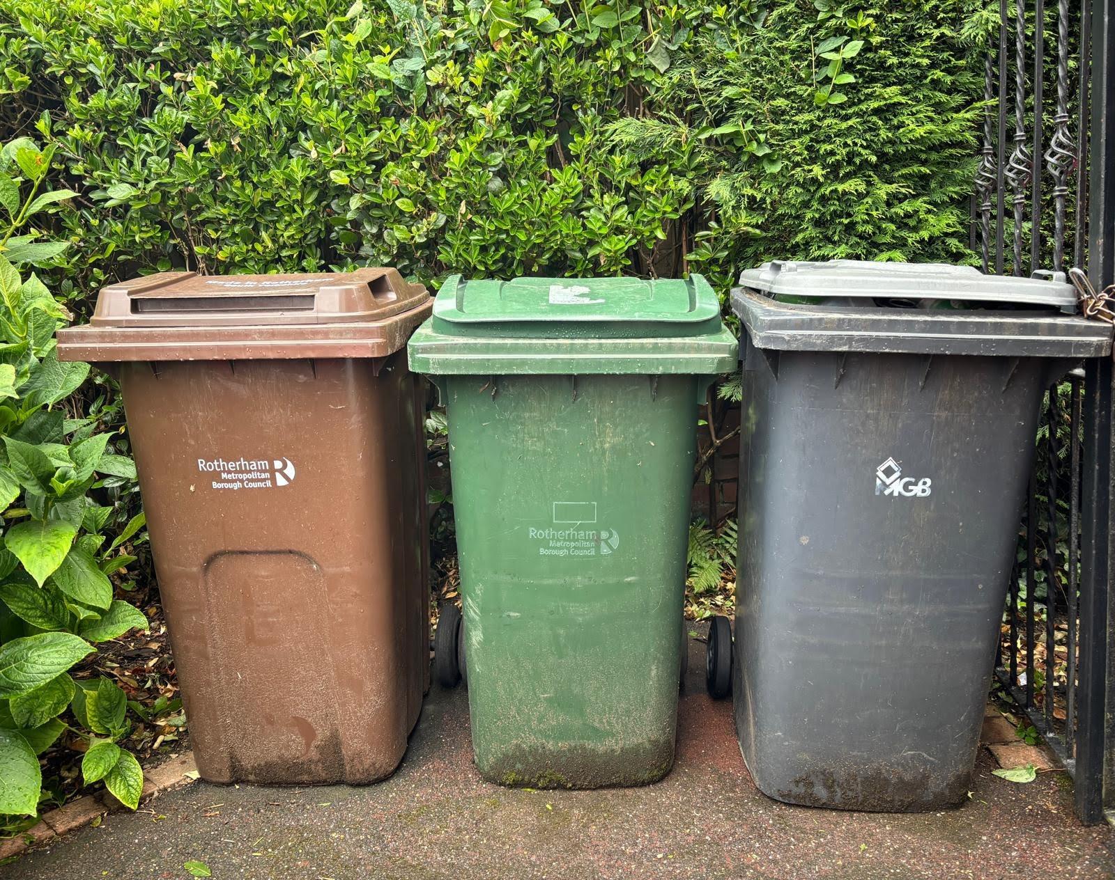 Bins left uncollected in many areas as council faces "rescource challenges"
