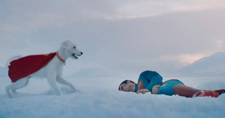 Krypto The Superdog Trends Heavily as Superman Release Date Gets Closer