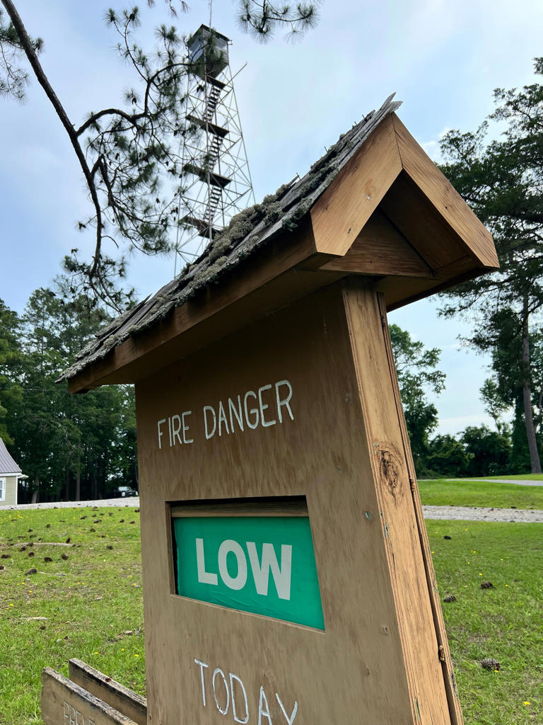 Fire and strain: How staff shortages affect the N.C. Forest Service in ...