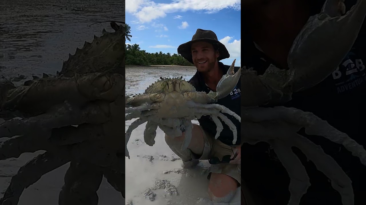 Stranded for 3 Months – Life as Real Castaways