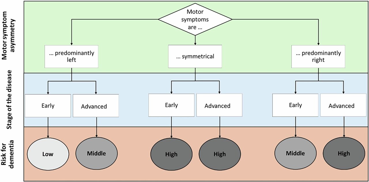 Parkinson's disease: How the affected side shapes the disease's course