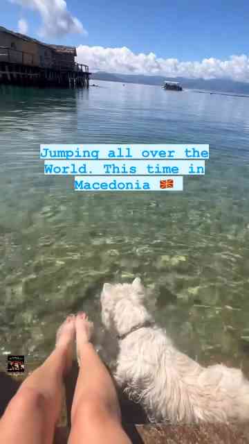 Beauty and Loyalty in One Fluffy Package