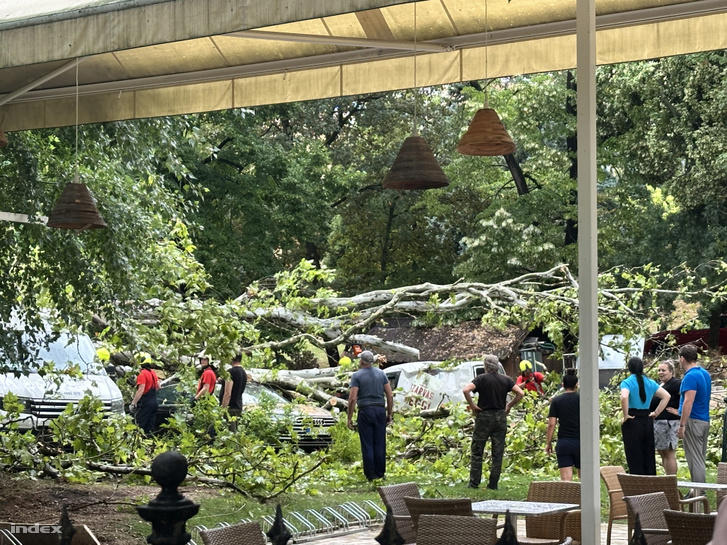 Megbénította az országot a tomboló vihar, vörös riasztás volt érvényben