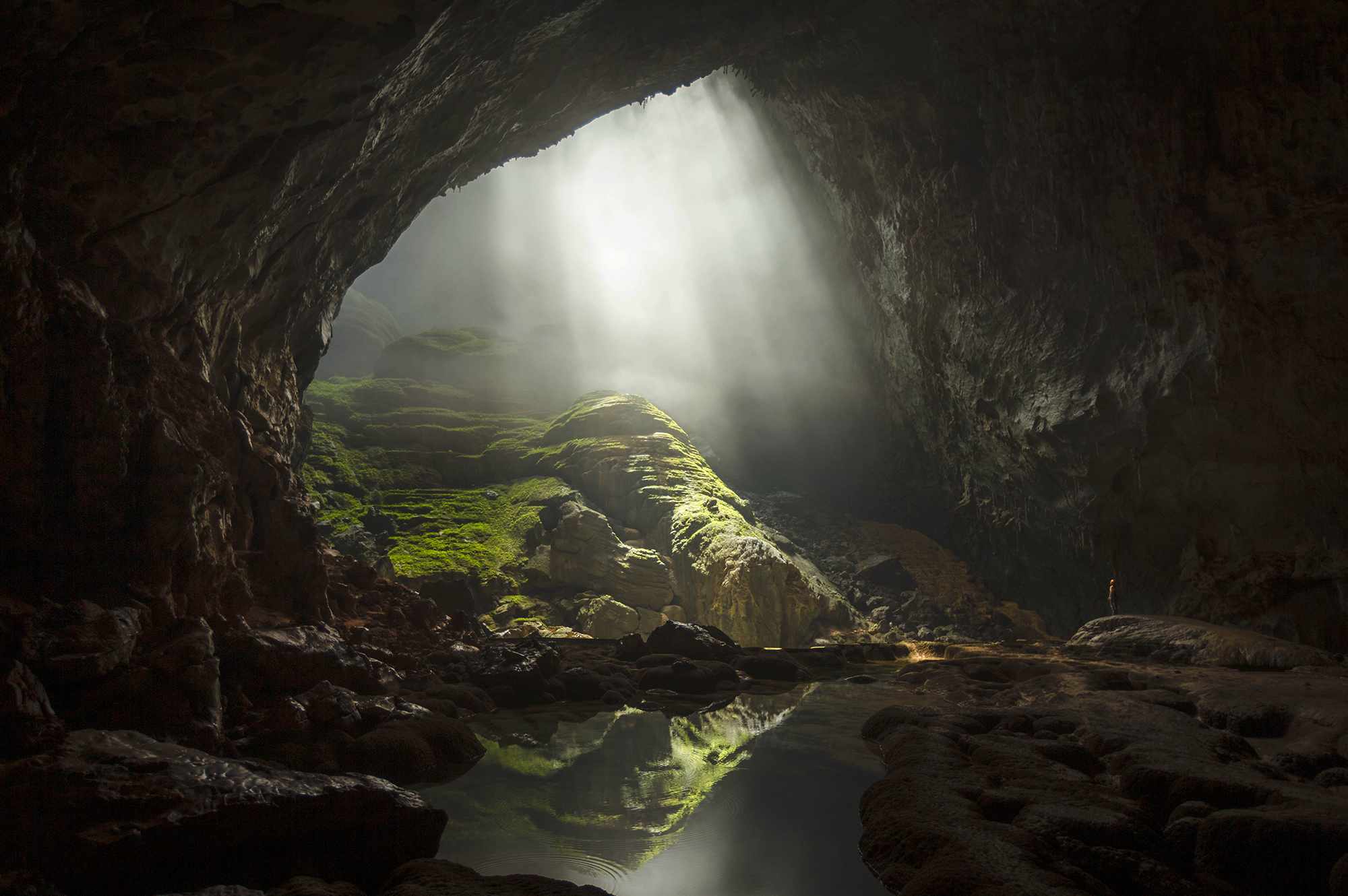 The World's Largest Cave Has Its Own Climate System With Jungles ...