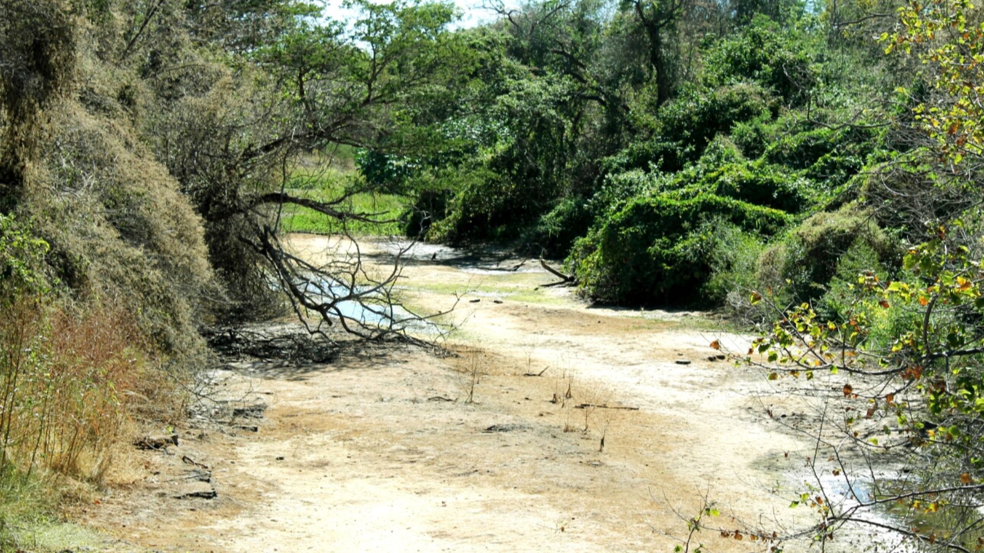 Archaeologists documented ancient murals in Brazil’s Dinosaur Valley ...