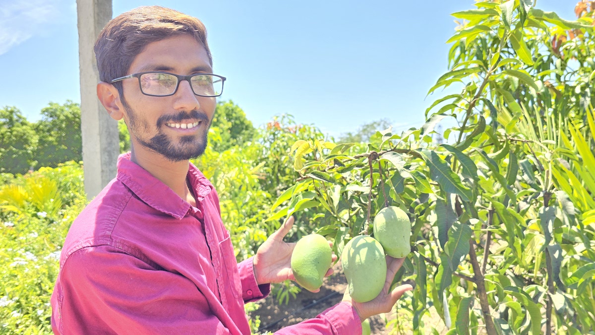 A Mango Orchard By The Gir Forest Grows 300+ Varieties Of Fruit
