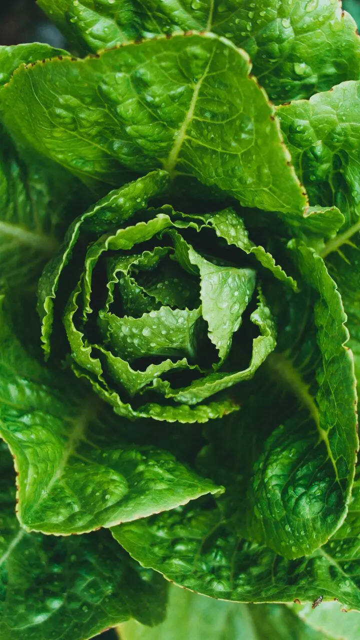 10 foods that can control high cortisol levels