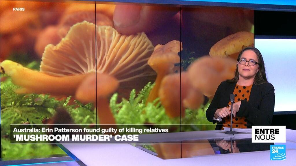 From 'mushroom murders' to safe foraging: The risks and rewards of wild ...
