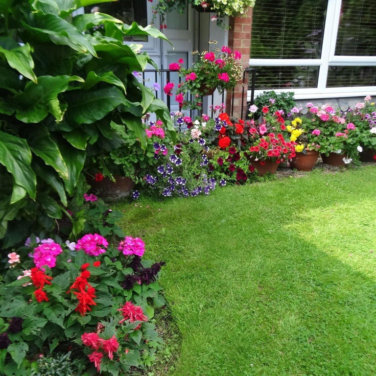 Final call: One week left to enter Haywards Heath’s Best Kept Garden ...