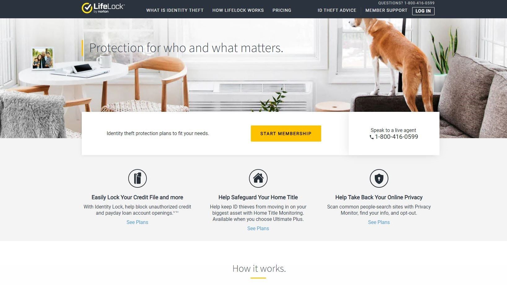 Norton LifeLock remains a strong contender in the identity theft ...