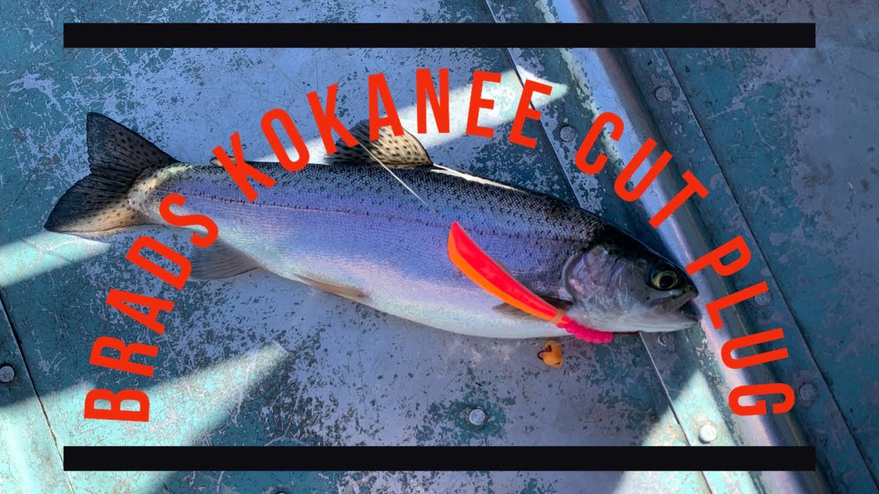Trolling for Trout With Brad’s Kokanee Cut Plugs at Mineral Lake ...