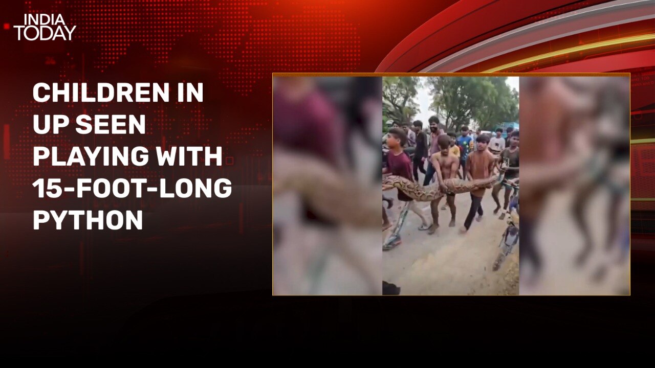 Video: Children toy, shoot reels with 15-foot-long python in UP's ...