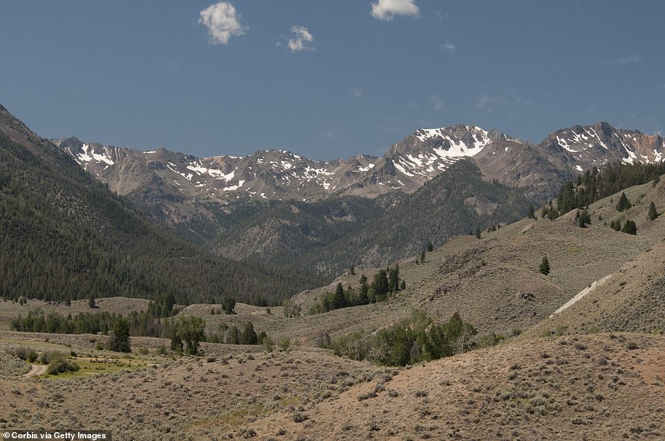 Travis Decker search intensifies after campers claim sighting