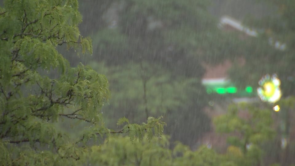 Showers and storms return to the area, will remain unsettled throughout ...