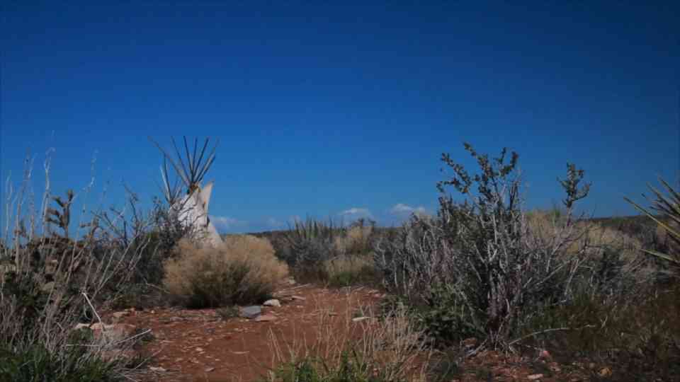 What Happened to Those Captured by Comanche Warriors?