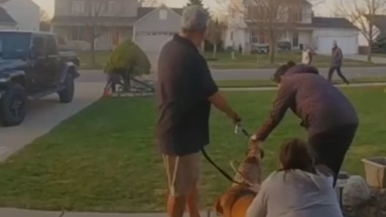Man learns the hard way why one should not wrap leash around wrist when ...