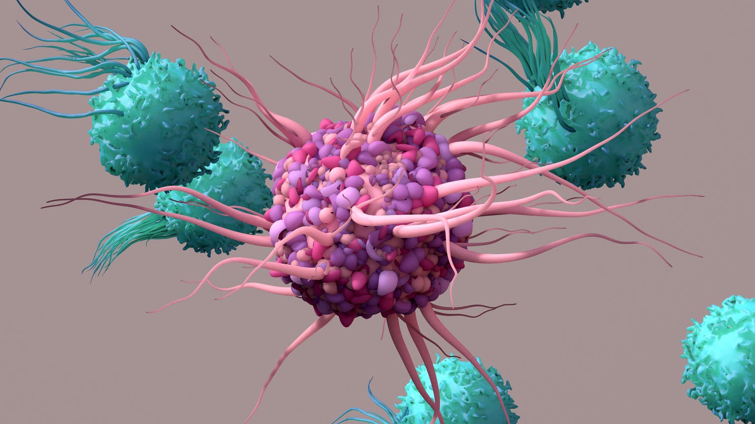 Mustang Bio rises after FDA orphan drug status for MB-101