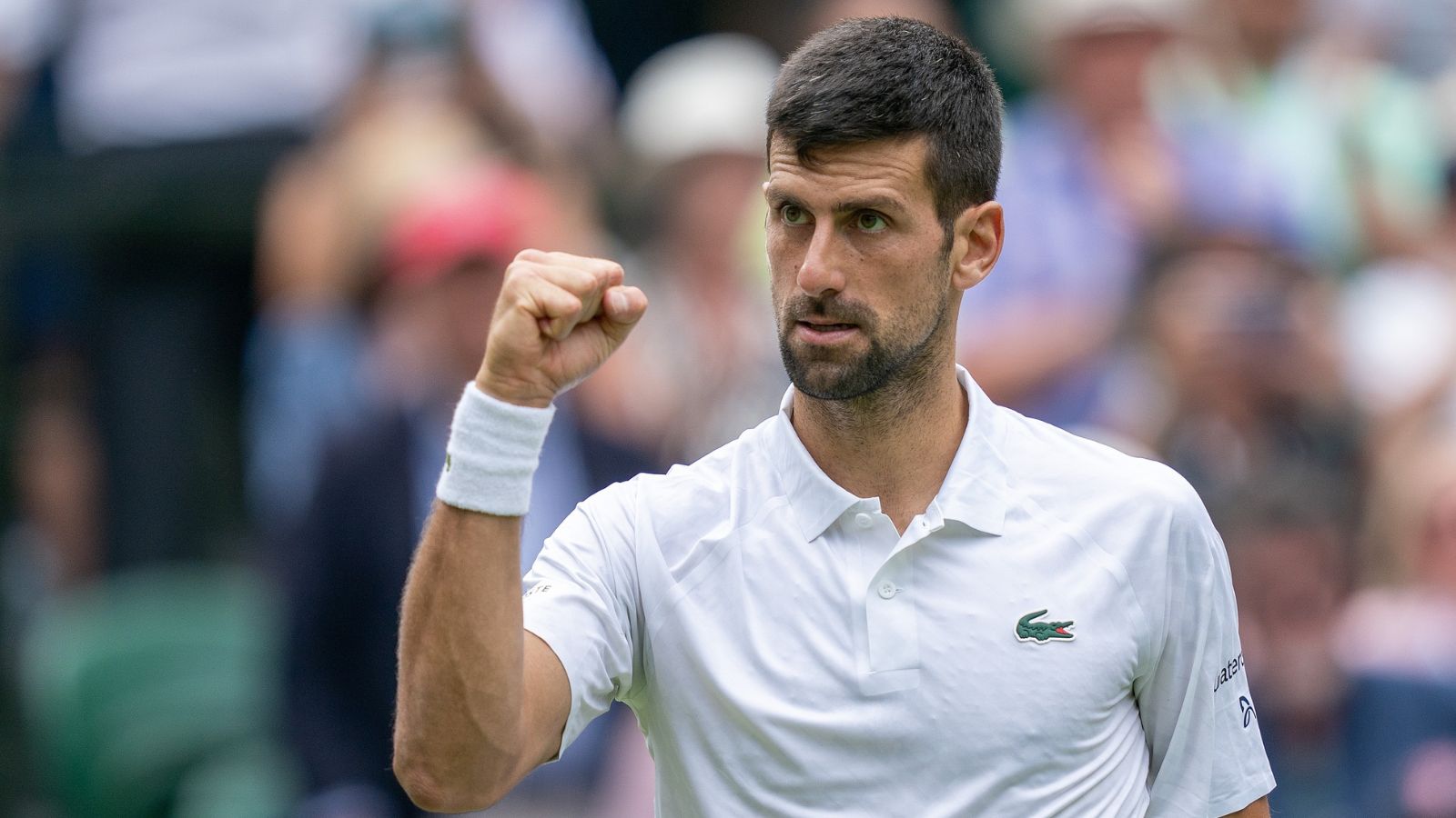 Live Updates: Wimbledon Round of 16 Odds and Analysis