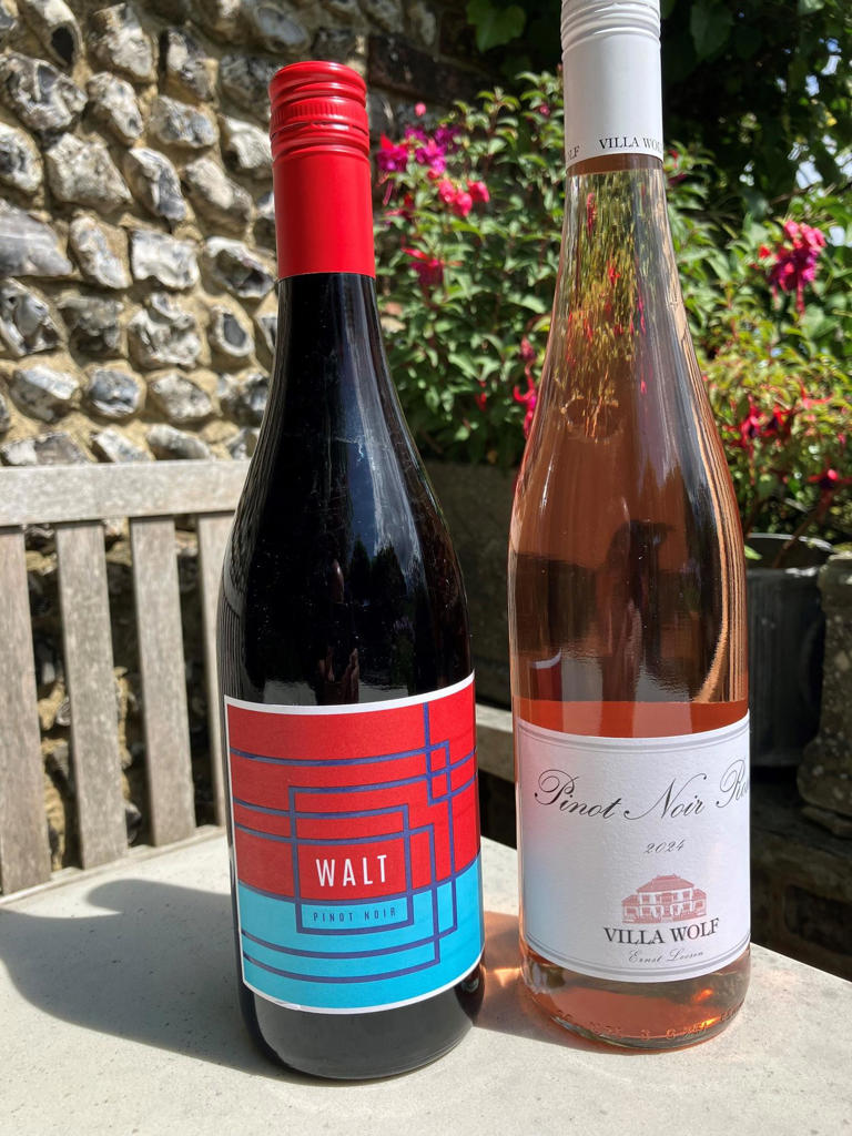 Richard Esling, On the Grapevine: The vibrant realm of the new wave of ...