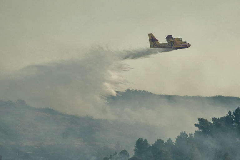 Canadair, Dash: quels sont les moyens aériens dont dispose la France ...