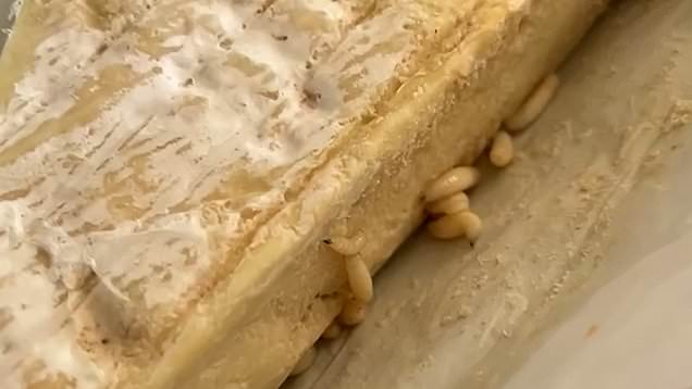 Couple left reeling after discovering maggots infestation in Brie ...