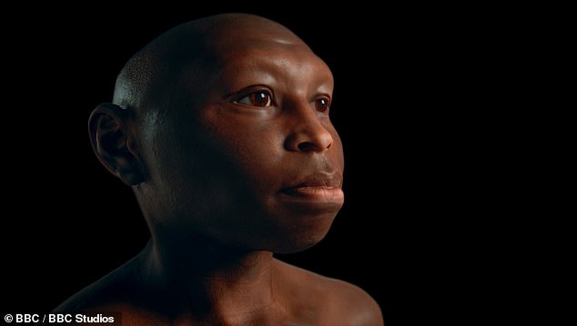 Revealed: The most scientifically accurate faces of ancient human species